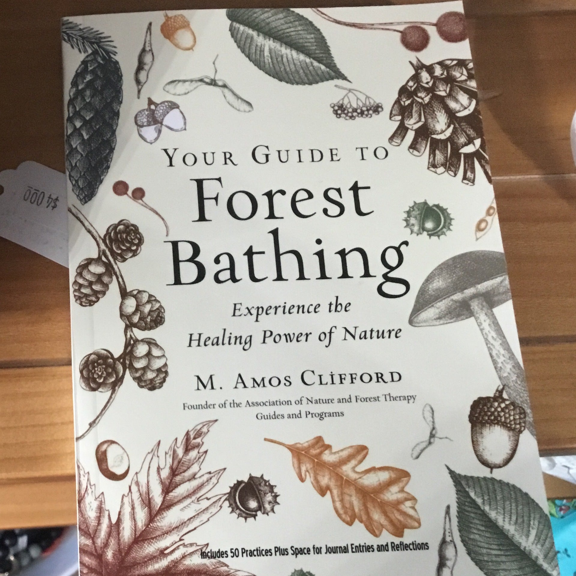 Your Guide to Forest Bathing (Expanded Edition) | Salt & Soul LLC